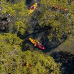 Jervis Bay: Currambene Creek Kayak Tour with Guide - What You Can Expect in Detail