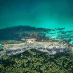 Jervis Bay, Kiama & Kangaroo Valley Day Trip From Sydney-PVT - The Experience: Pros and Cons