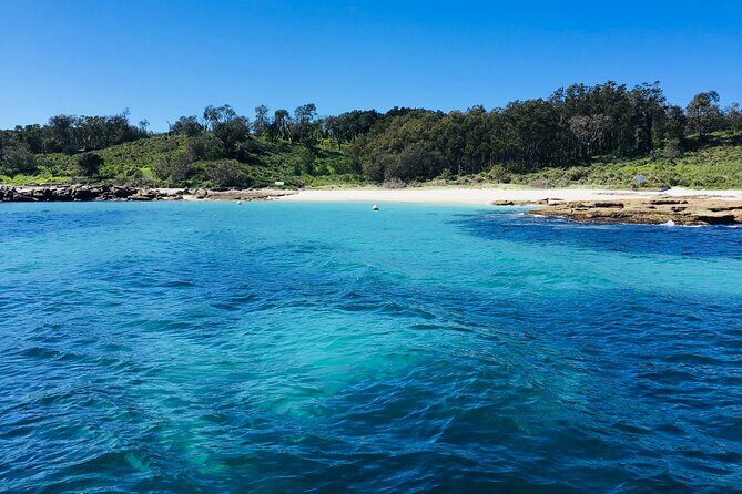Jervis Bay Passage Tour - Who is This Tour Perfect For?