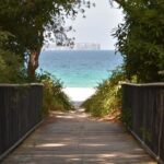 Jervis Bay Tour with Dolphins, Kangaroos & World's Whitest Beach - Who Should Consider This Tour?