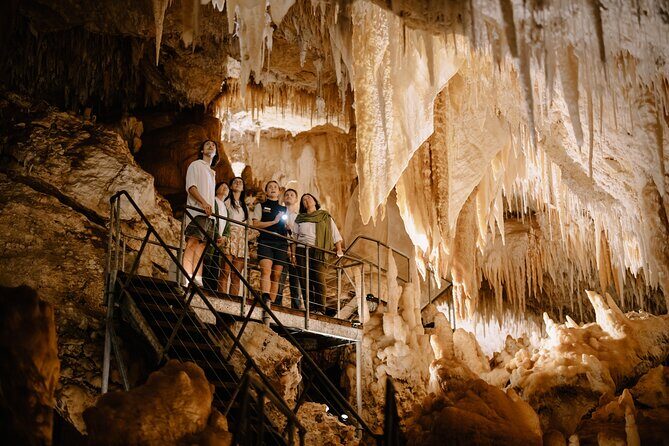 Jewel Cave Fully-guided Tour (Located in Western Australia) - Who Will Love This Experience?
