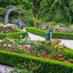 Jewish History Vancouver Oakridge Private Walking Tour - Why This Tour Is a Great Value