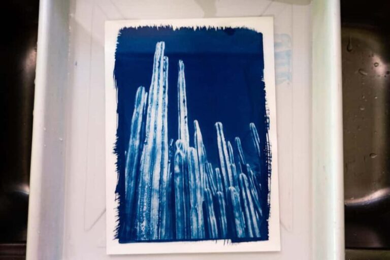 Joshua Tree: Cyanotype Sunprint Workshop - FAQs
