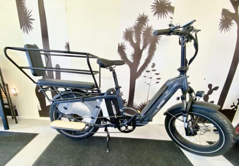 Joshua Tree National Park: E-Bike Rental - Detailed Review: What to Expect and Why It Matters