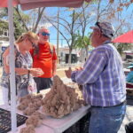 Juarez downtown walking tour - Practical Tips for Making the Most of Your Tour
