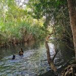 Jumping Croc Cruise, Berry Springs, Fogg Dam & Humpty Doo Pub - A Detailed Breakdown of the Itinerary