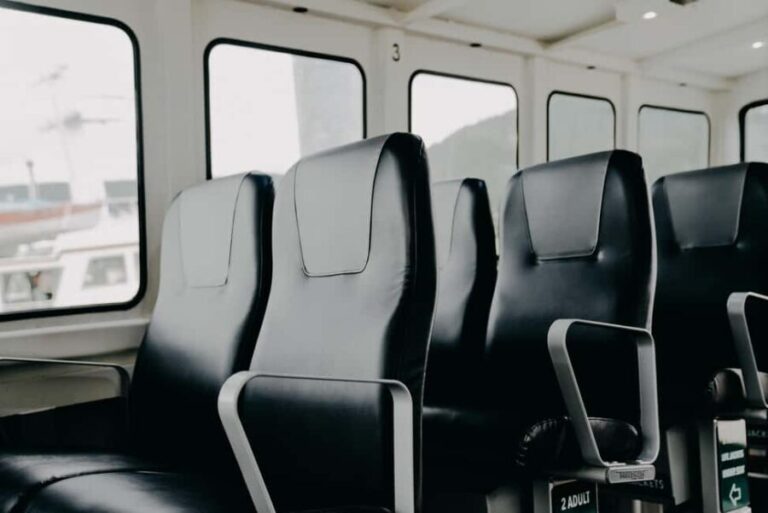 Juneau: 3.5-Hour Small Group Whale Watching Tour - Analyzing the Value