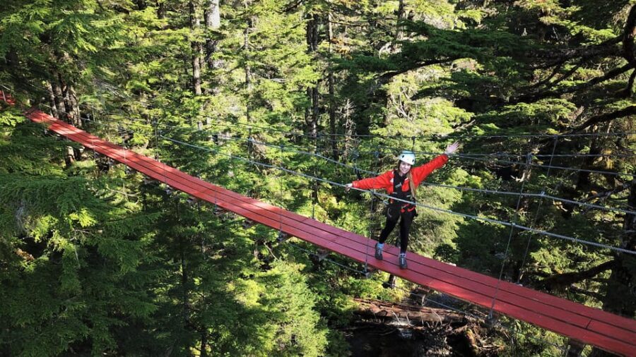 Juneau: Alpine Zipline Adventure - What Makes the Juneau Zipline Tour Stand Out