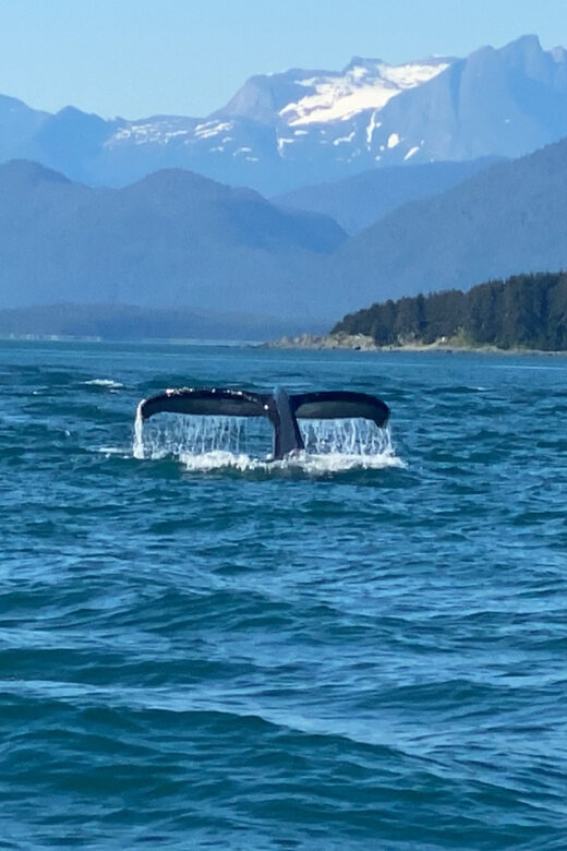 Juneau: Mendenhall Glacier and Whale Watching Tour - Practicalities and Value