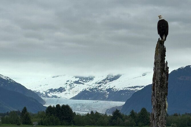 Juneau Private 3 Hour Sightseeing Tour with a Local - Practical Details and What to Expect