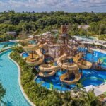 Jungle - Deep Dive into the Experience