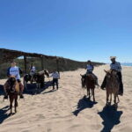 Jungle and beach horseback ride + lunch + mezcal - Discovering the Tour: What to Expect on Your Day Out