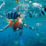 Jungle Tour Adventure in Cancun with Snorkeling - The Itinerary in Detail