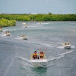 Jungle Tour - Mangroves & Snorkel For Couples - What Sets This Tour Apart