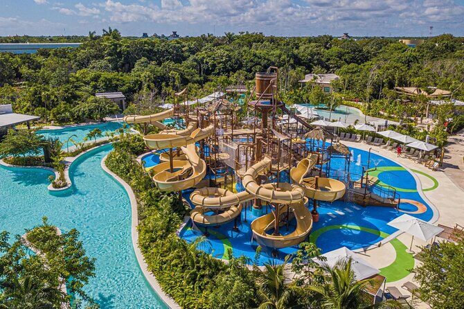 Jungle - Deep Dive into the Experience