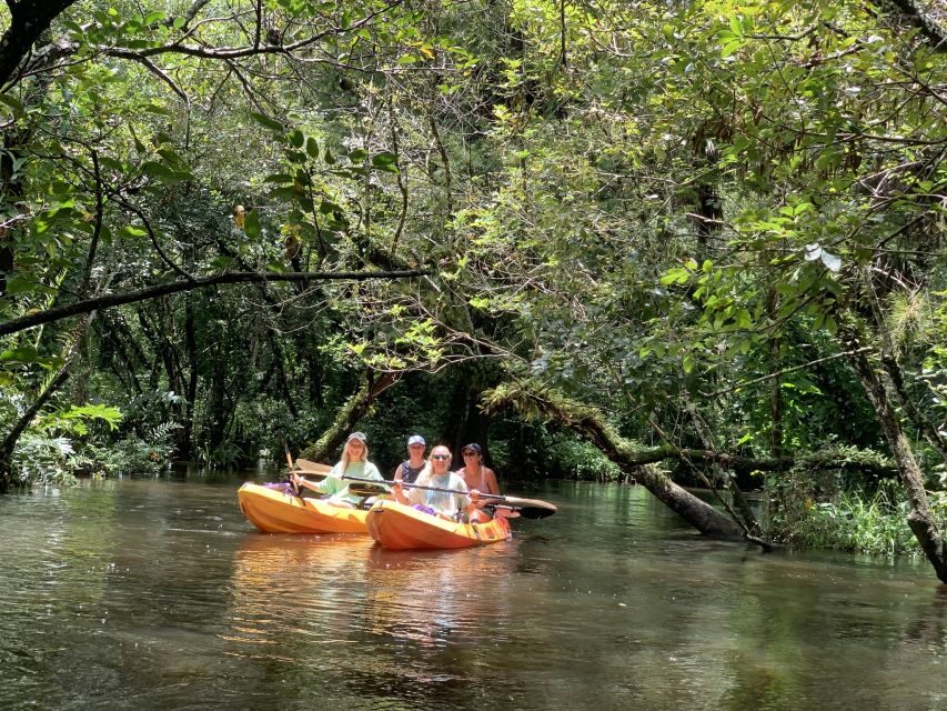 Jupiter: Wild and Scenic Loxahatchee River Kayak Tour - Exploring the Itinerary in Detail