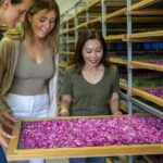 Jurlique Farm Tour - In-Depth Look at the Jurlique Farm Tour