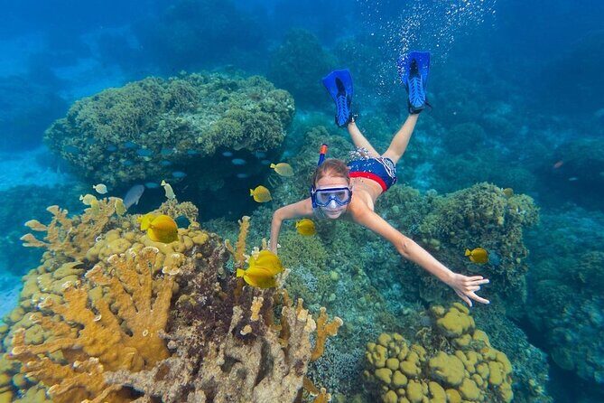 Kaan Luum Lagoon and Cenote Snorkel Tour in Tulum - Final Thoughts