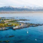 Kaikoura Day Tour From Christchurch - Practical Details: What to Expect
