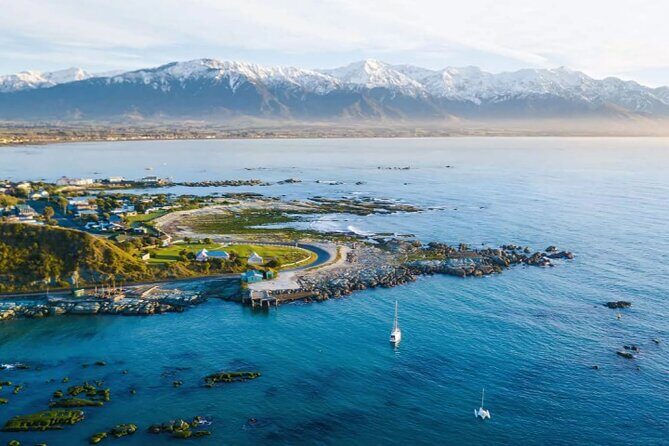 Kaikoura Day Tour From Christchurch - Practical Details: What to Expect