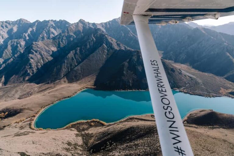 Kaikoura: Extended Flight Whale Watching & Mountain Tour - Practical Tips for Your Flight