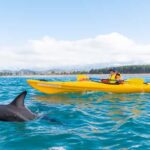 Kaikoura: Guided Family Kayaking Adventure - The Sum Up