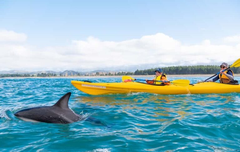 Kaikoura: Guided Family Kayaking Adventure - The Sum Up