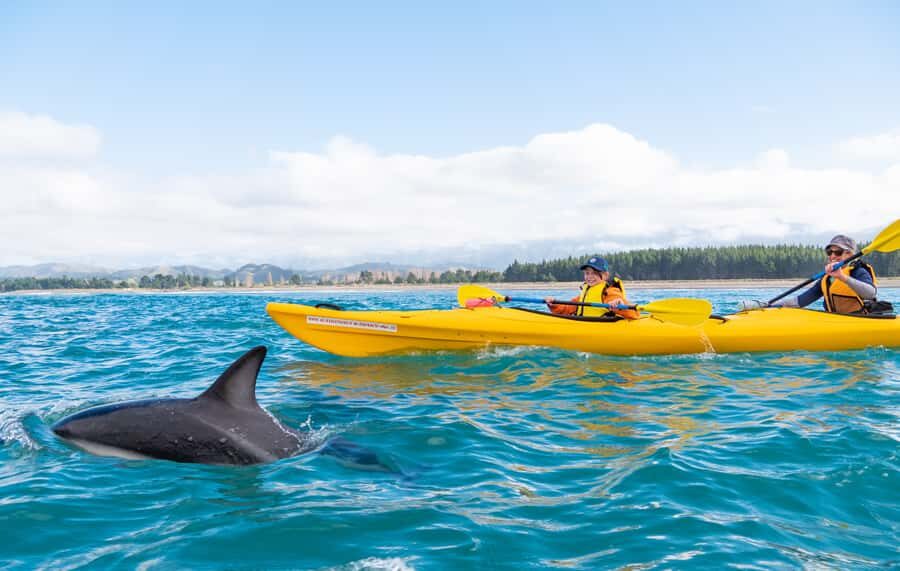 Kaikoura: Guided Family Kayaking Adventure - The Sum Up