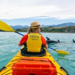 Kaikoura: Half-Day Wildlife Kayaking Tour - The Itinerary Breakdown