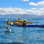 Kaikoura Kayaking Adventure Small Group Tour from Christchurch - Practical Details and What to Expect