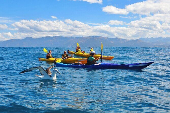 Kaikoura Kayaking Adventure Small Group Tour from Christchurch - Practical Details and What to Expect