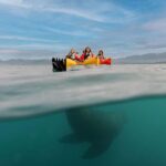 Kaikoura: Private Guided Kayak Tour with Seals - What You Can Expect from the Tour