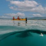 Kaikoura: Seal-Watching Pedal Kayak Tour - What We Loved About the Tour