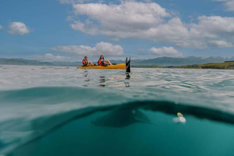 Kaikoura: Seal-Watching Pedal Kayak Tour - What We Loved About the Tour