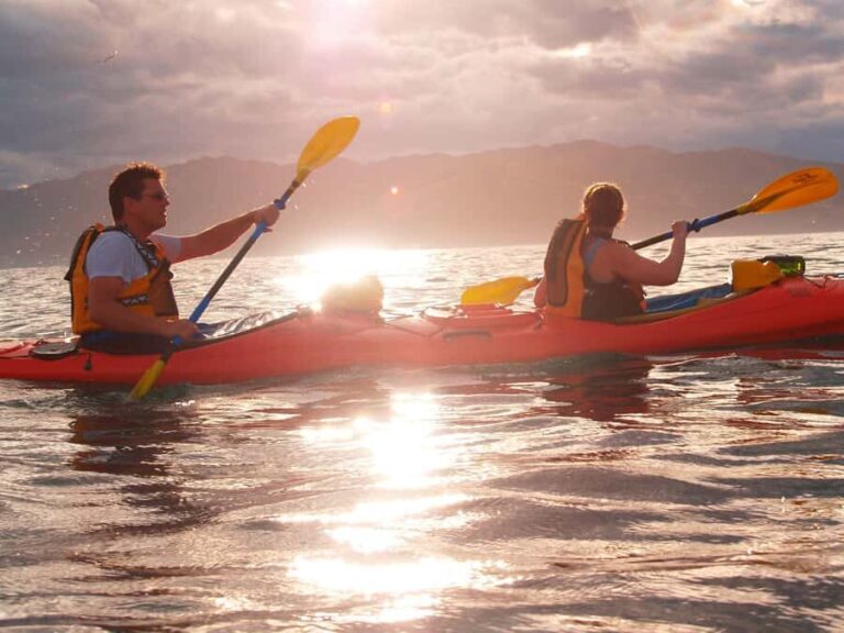 Kaikoura: Sunset Evening Kayaking Tour - The Itinerary: What to Expect Step-by-Step