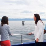Kaikoura Whale Watch Day Tour from Christchurch - The Scenic Drive and Land Stops