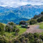 Kaikura: Zipline and Native Forest Adventure Trip - A Thorough Look at the Adventure Itself