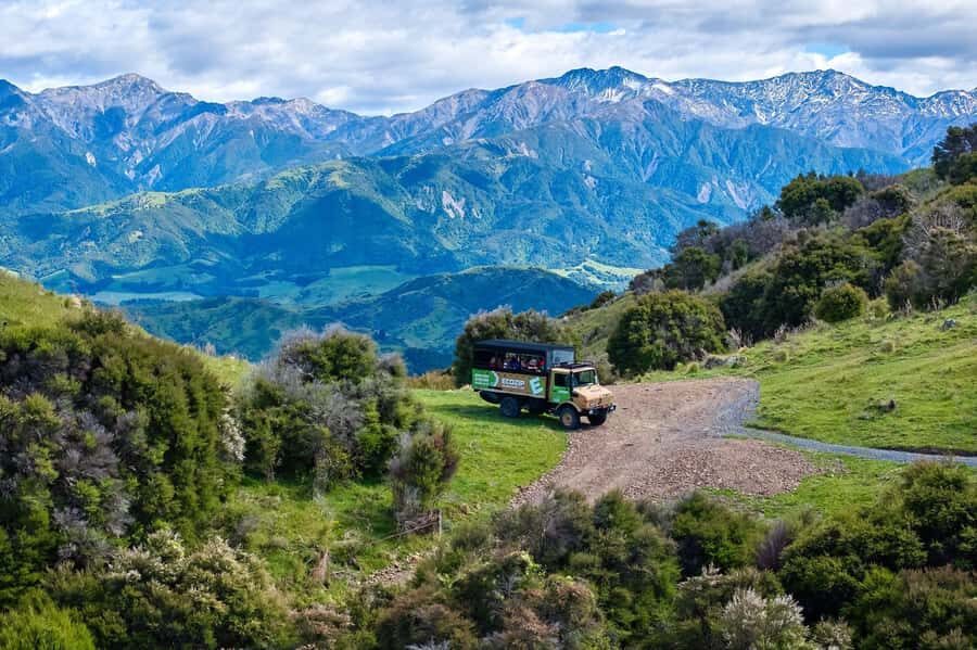 Kaikura: Zipline and Native Forest Adventure Trip - A Thorough Look at the Adventure Itself