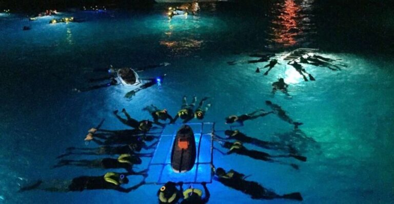 Kailua Kona: Night Manta Ray Adventure on the Big Island - What to Expect on the Tour