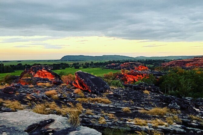 Kakadu Day Tour-Yellow Water-Nourlangie-Ubirr-Cahills-Fogg Dam - Transportation, Timing, and Group Size