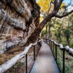 Kakadu National Park Cultural Experience + Scenic Flight - Transportation & Practical Considerations