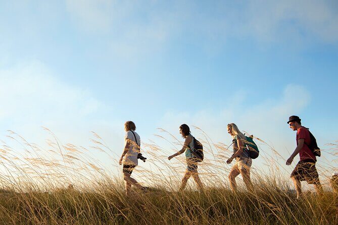 Kakadu National Park Wildlife & Ubirr Rock Art Tour from Darwin - Why This Tour Offers Great Value