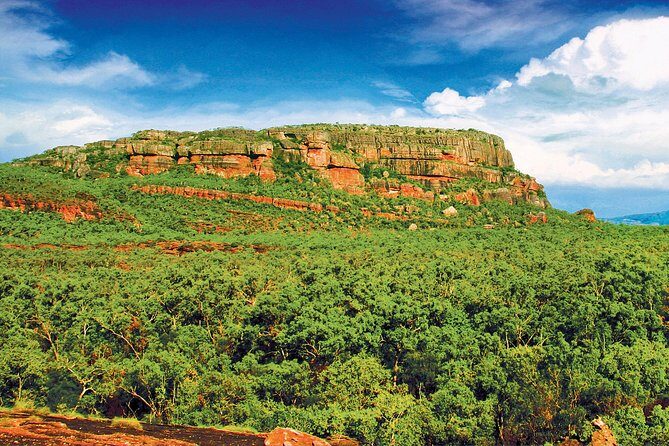 Kakadu, Nourlangie and Yellow Waters Tour from Darwin - In-Depth Breakdown of the Itinerary