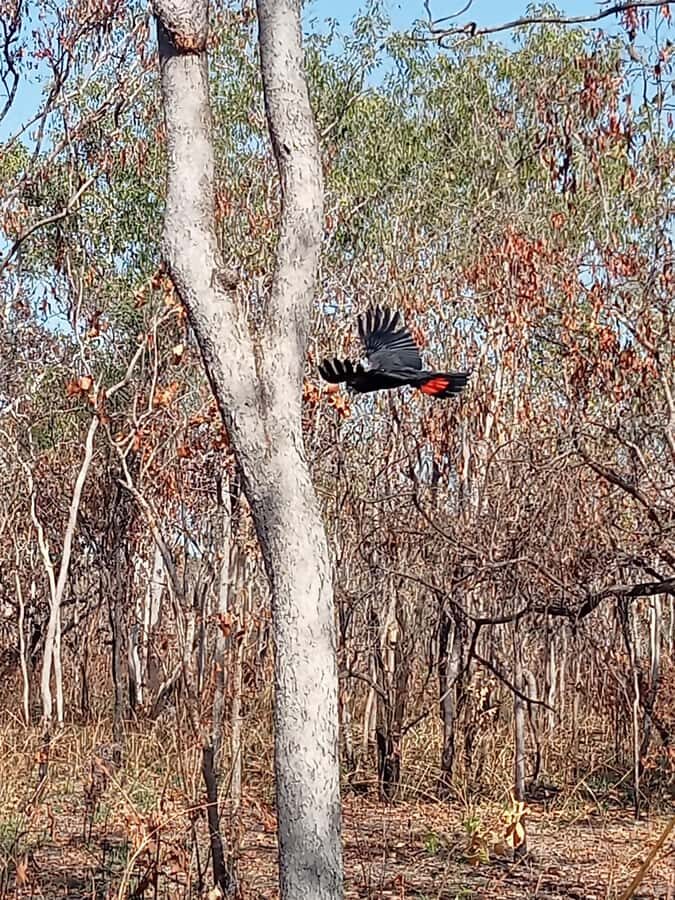 Kakadu VIP Backpackers - The Sum Up