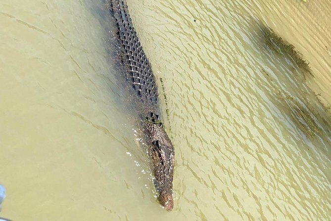 Kakadu Yellow Waters Cruise & Katherine Gorge Helicopter Scenic - The Richness of Reviews and Authentic Experiences