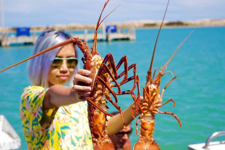 Kalbarri Crayfish Catch & Keep Tour - The Vessel & Group Dynamics
