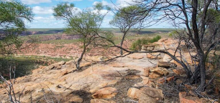 Kalbarri National Park Driving Tour with an APP - What Makes This Tour Stand Out?