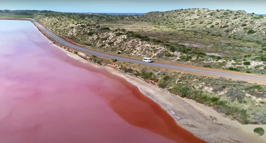 Kalbarri: Pink Lake and Coastal Cliffs Tour - Analyzing the Value
