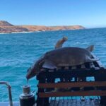 Kalbarri Rock Lobster Tours - The Itinerary in Detail