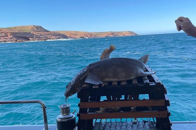 Kalbarri Rock Lobster Tours - The Itinerary in Detail